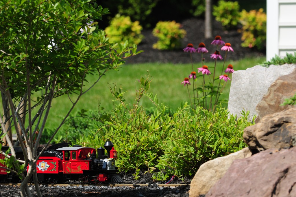 The Train Garden | Main Street Landscape